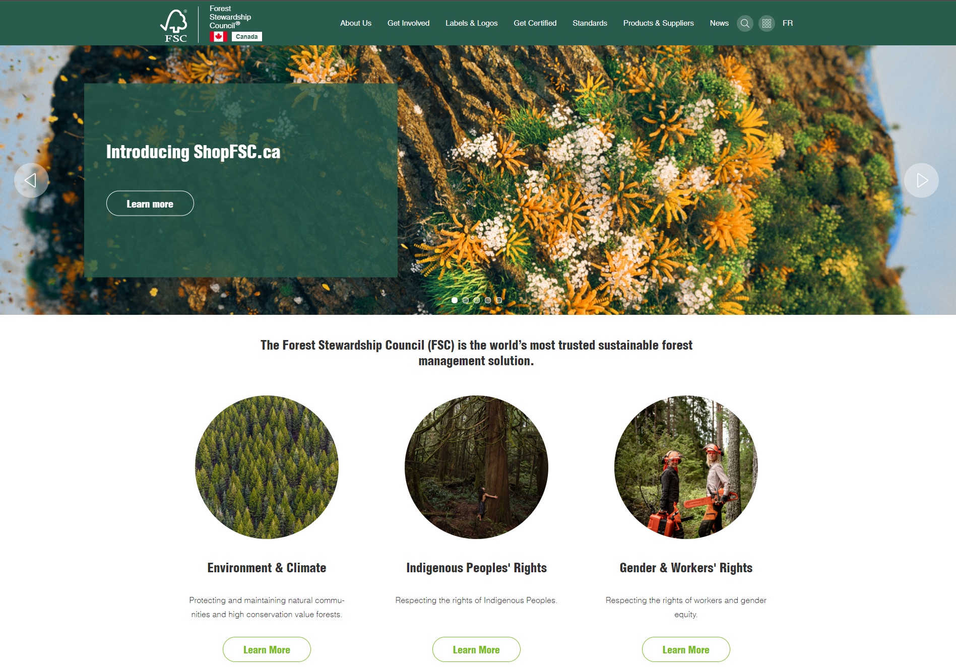 Introducing FSC Canada’s brand new website | Forest Stewardship Council