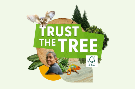FSC Forest Week 2023 Recap | Forest Stewardship Council