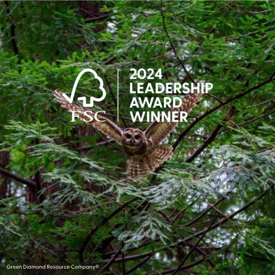 Congratulations to the 2024 FSC Leadership Award Winners! | Forest ...