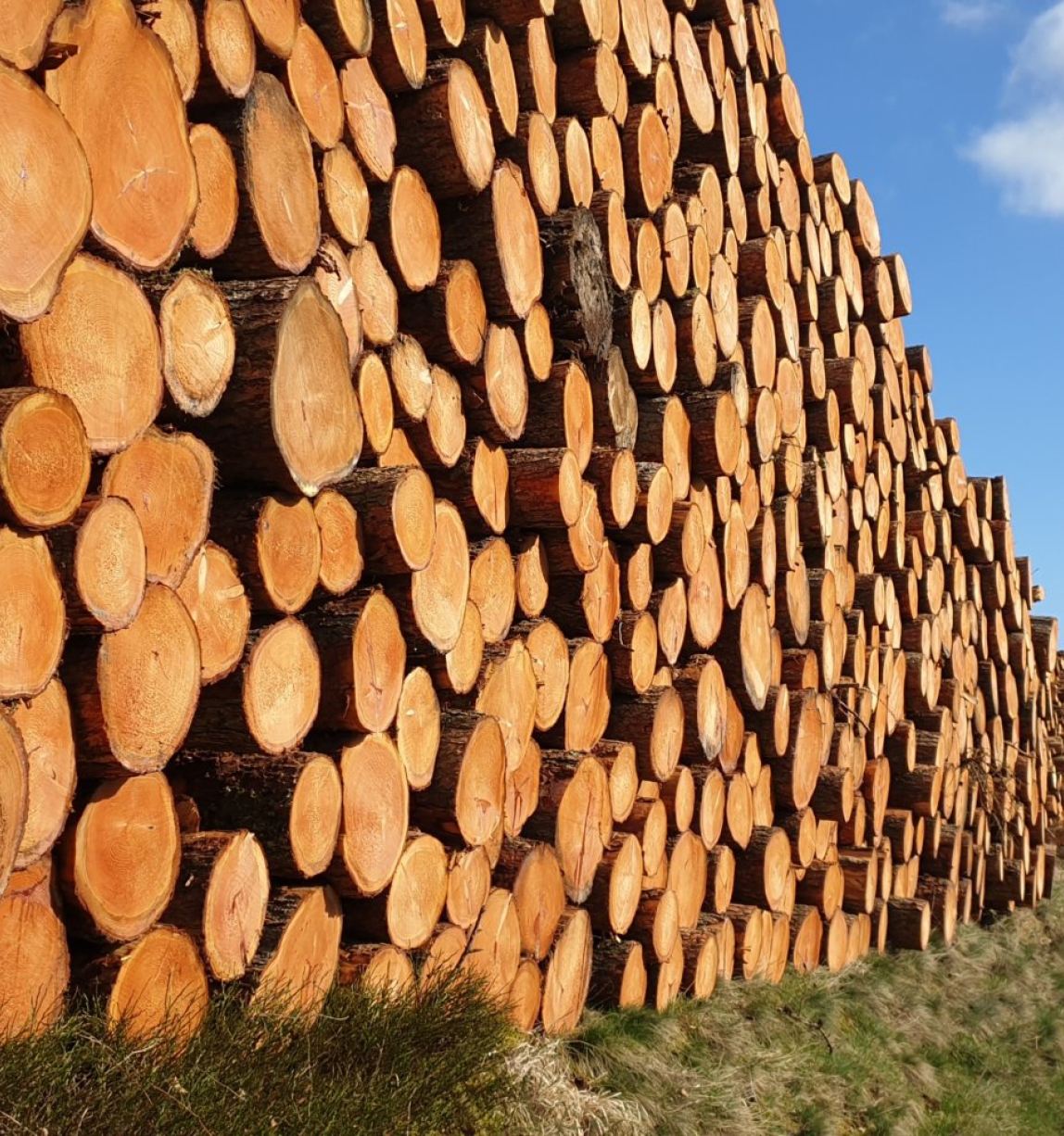 Extension of the consultation period until February 24 for the review ...