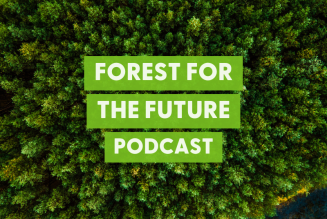 Podcast: Demystifying FSC Chain of Custody audits | Forest Stewardship ...