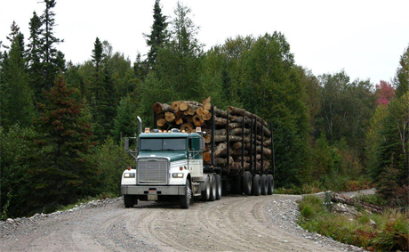 Nawiinginokiima Forest Management Corporation, the first local forest ...