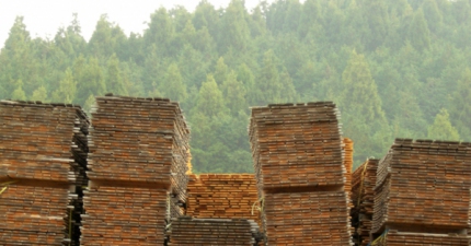 Revised FSC Procedures for National Risk Assessment Development ...