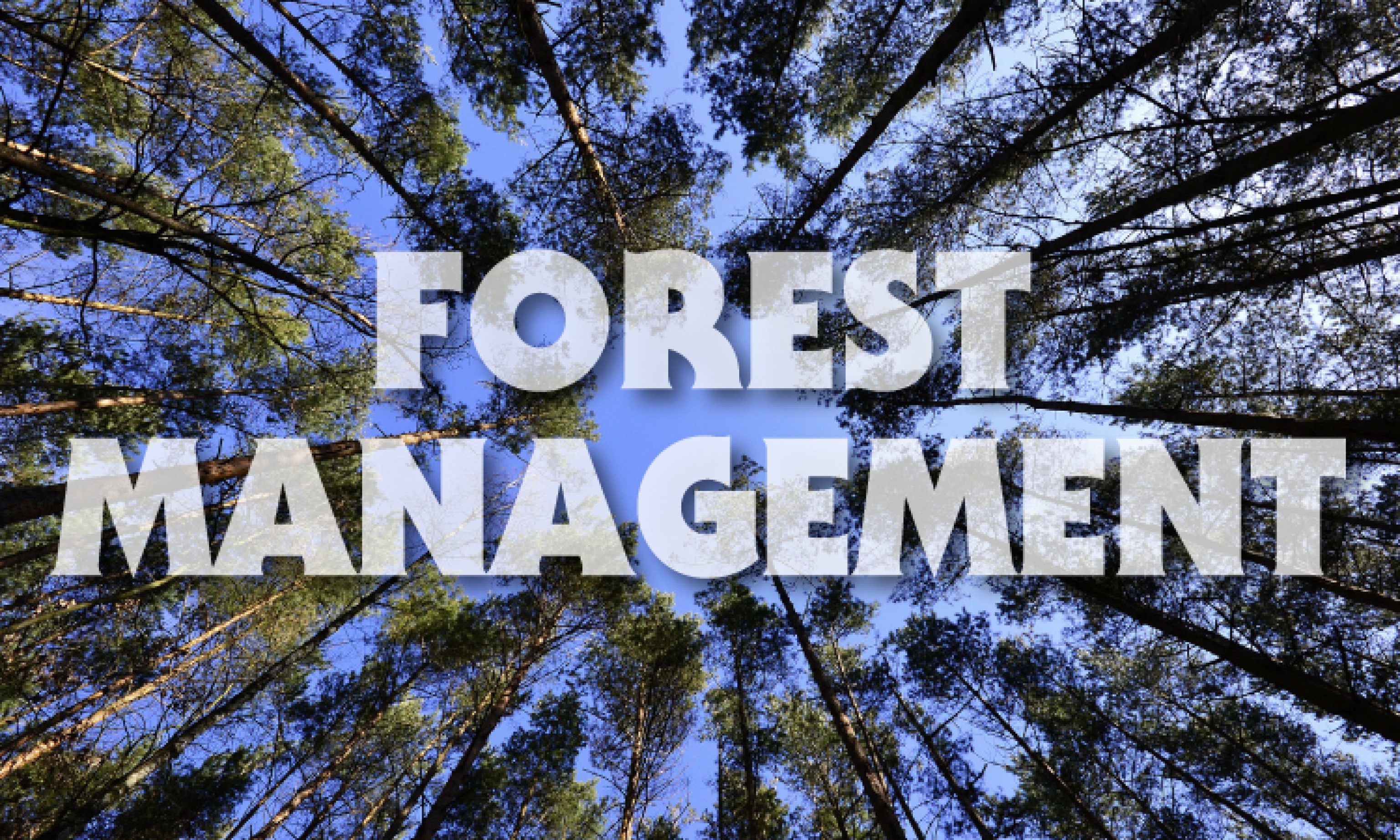 How to include High Conservation Values into National Forest ...