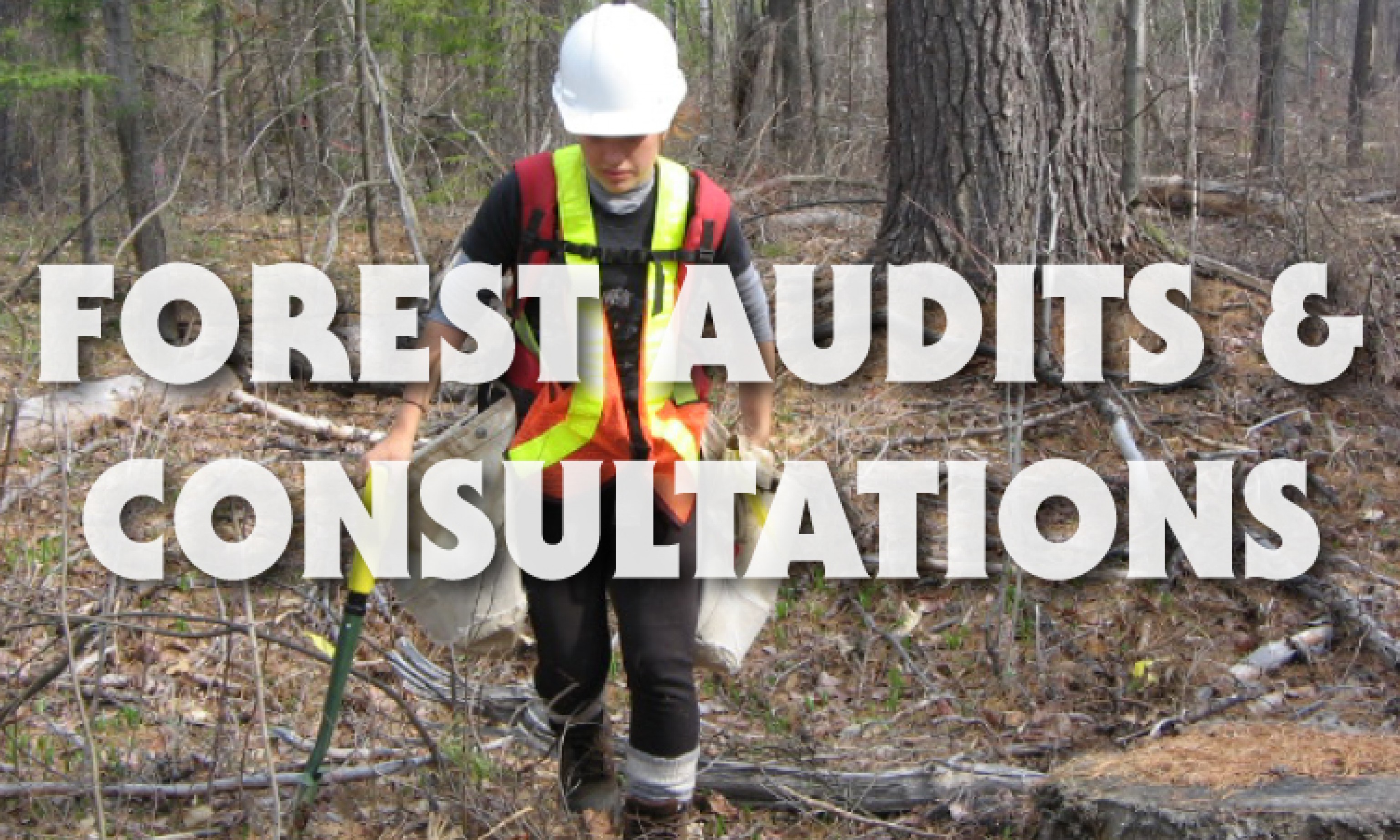 Chain of Custody/Controlled Wood Evaluation - Ecotrust Canada, Vancouver, BC | Forest ...