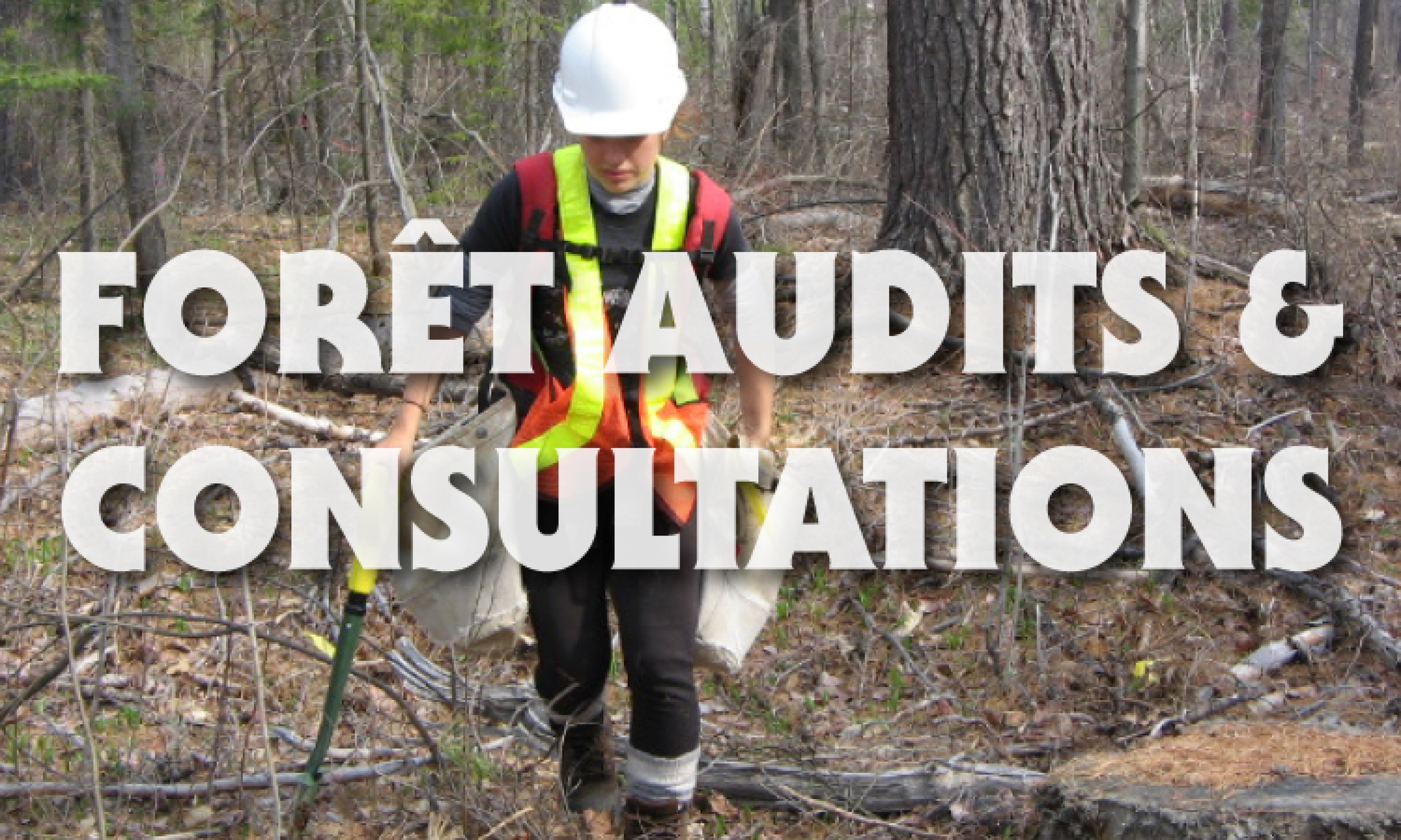 Audit d’aménagement forestier - EACOM Timber Corporation, Matagami ...