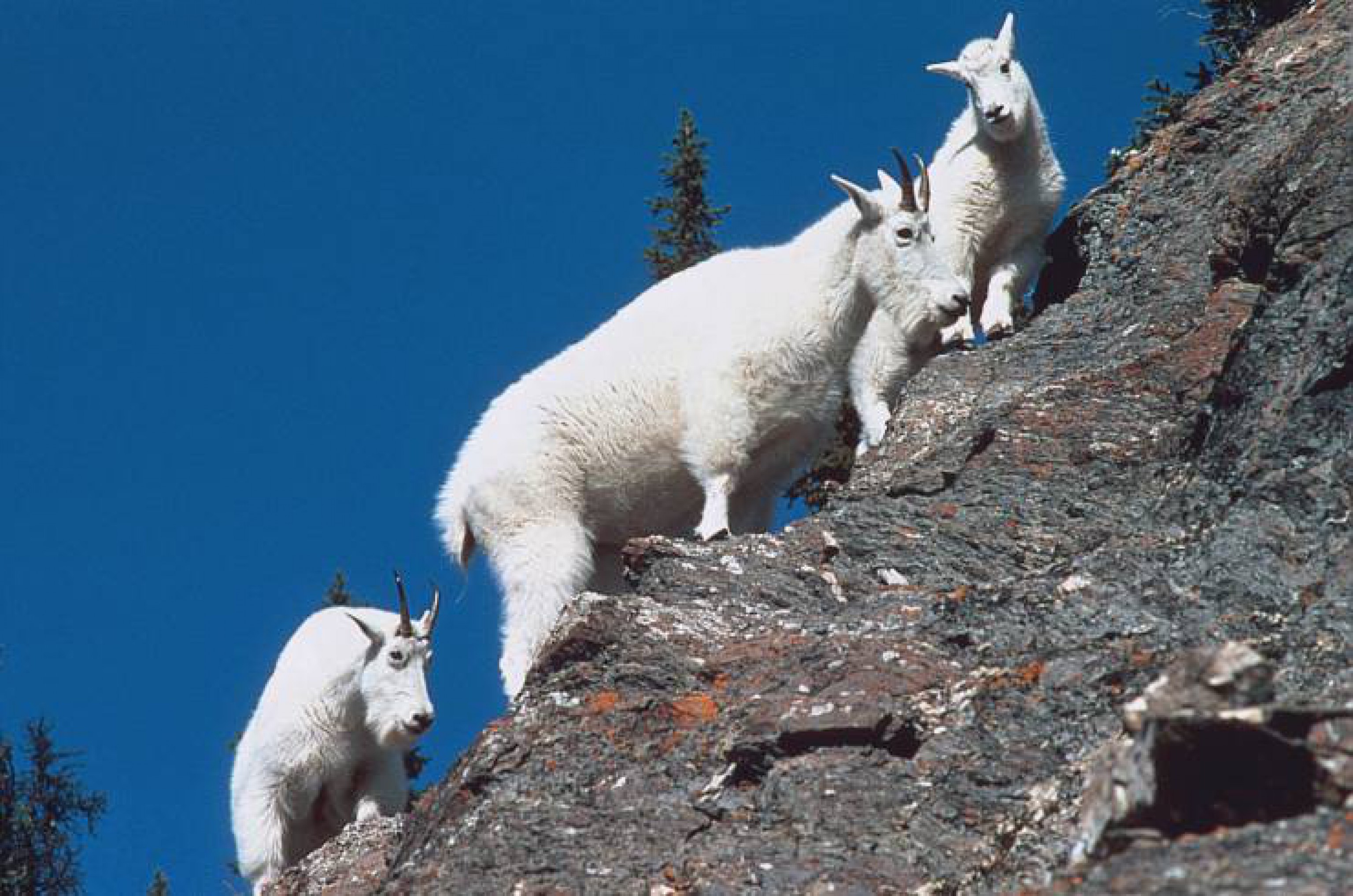 Working together for wildlife: A forestry field day | Forest ...