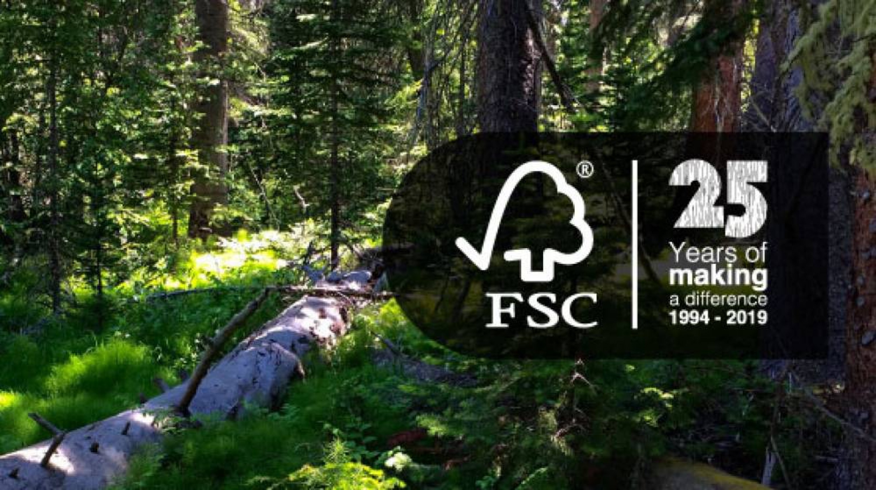 Invitation vous est lancée de vous joindre à nous à Atlanta pour les Prix du leadership du FSC ...