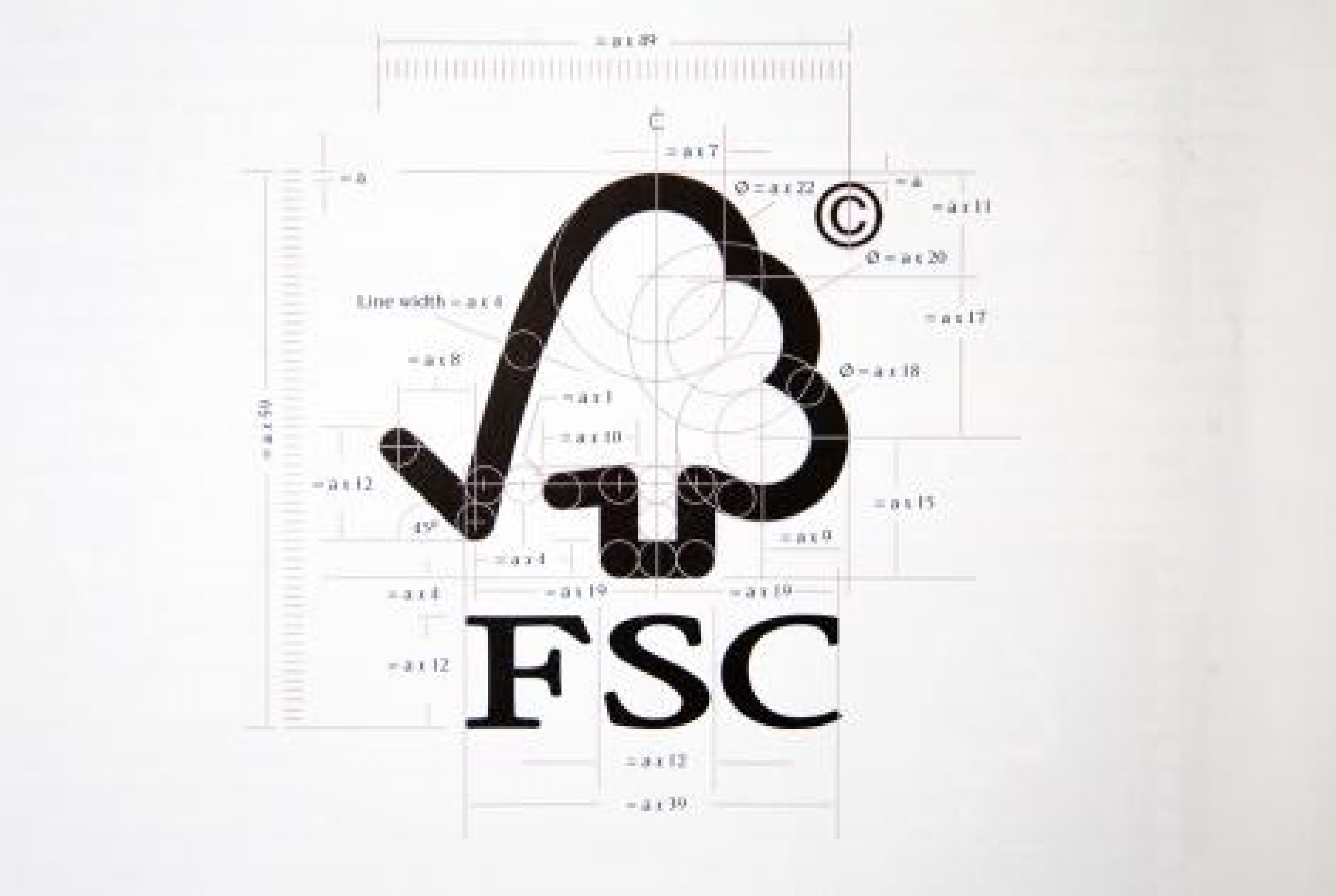 25 years on, a friendly checkmark-and-tree logo holds its own for the ...
