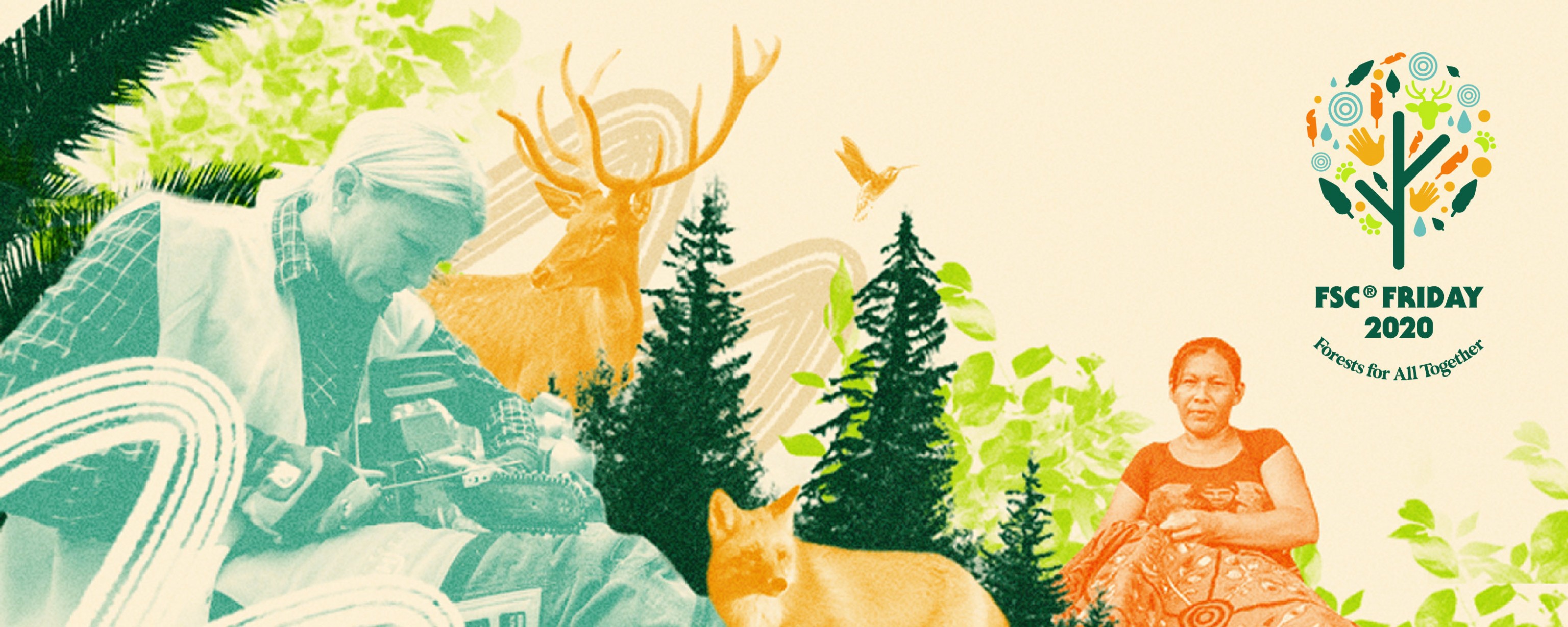 Support Responsible Forestry on FSC Friday 2020 | Forest Stewardship ...