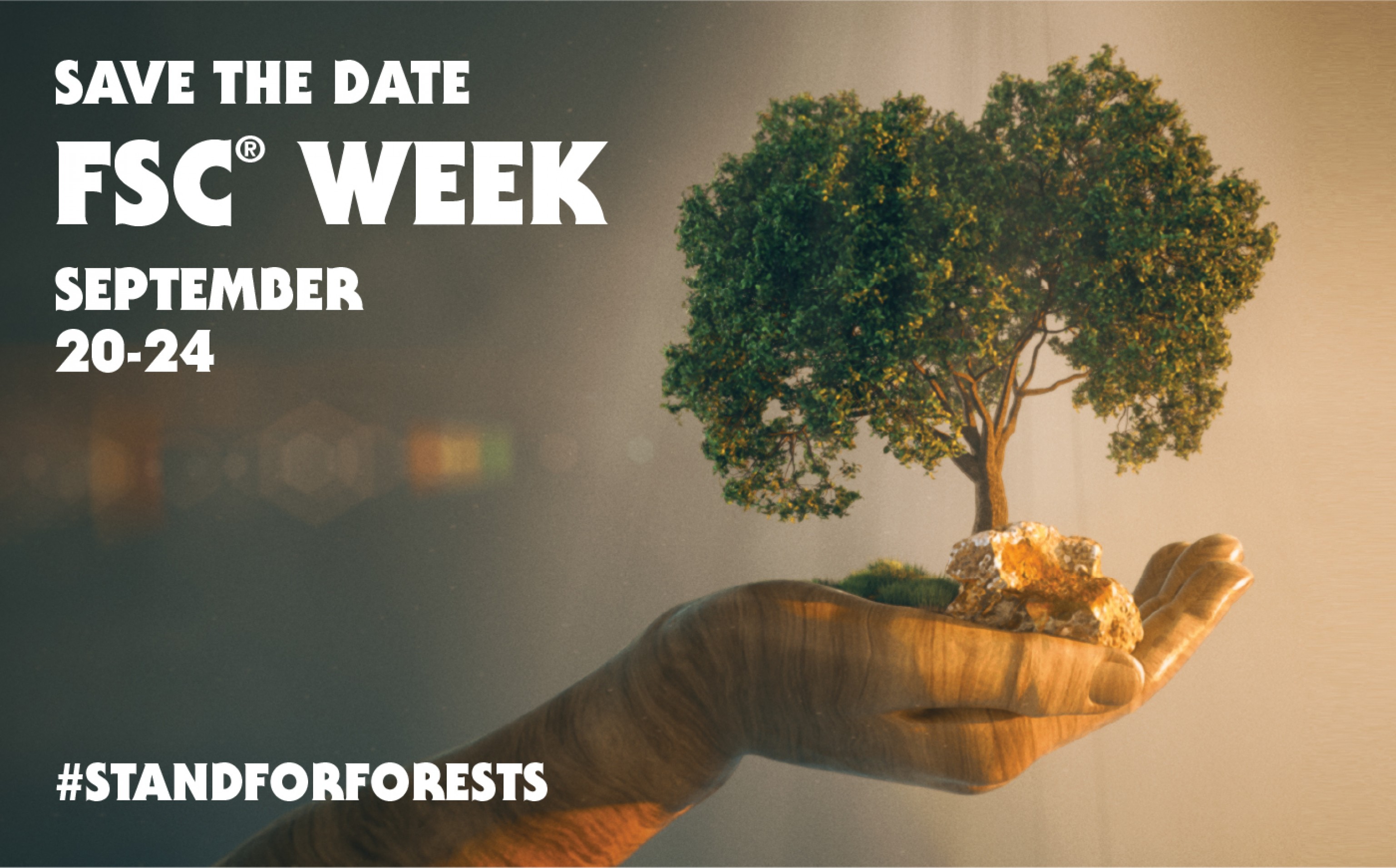 FSC Week #StandforForests Toolkit is now available! | Forest ...