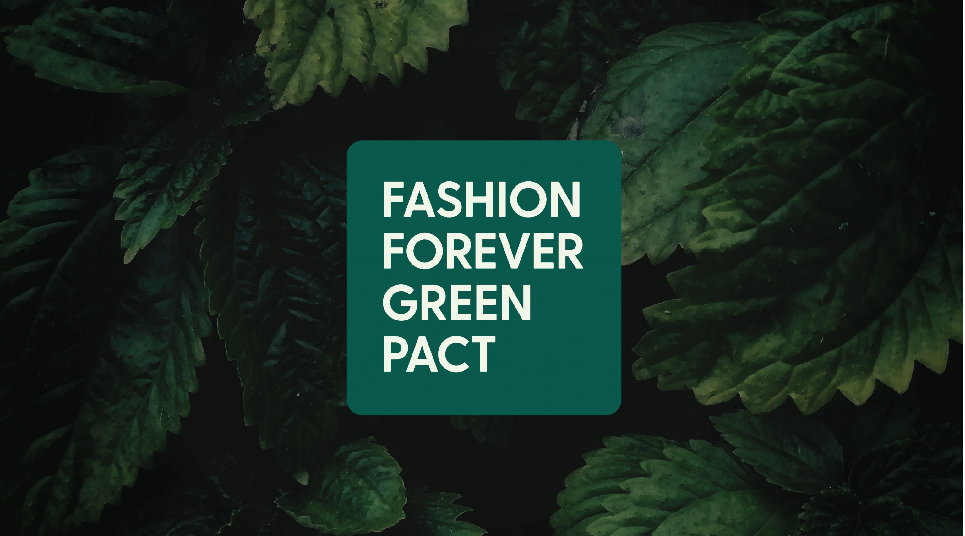 “Fashion Forever Green Pact” launched to promote responsible sourcing ...