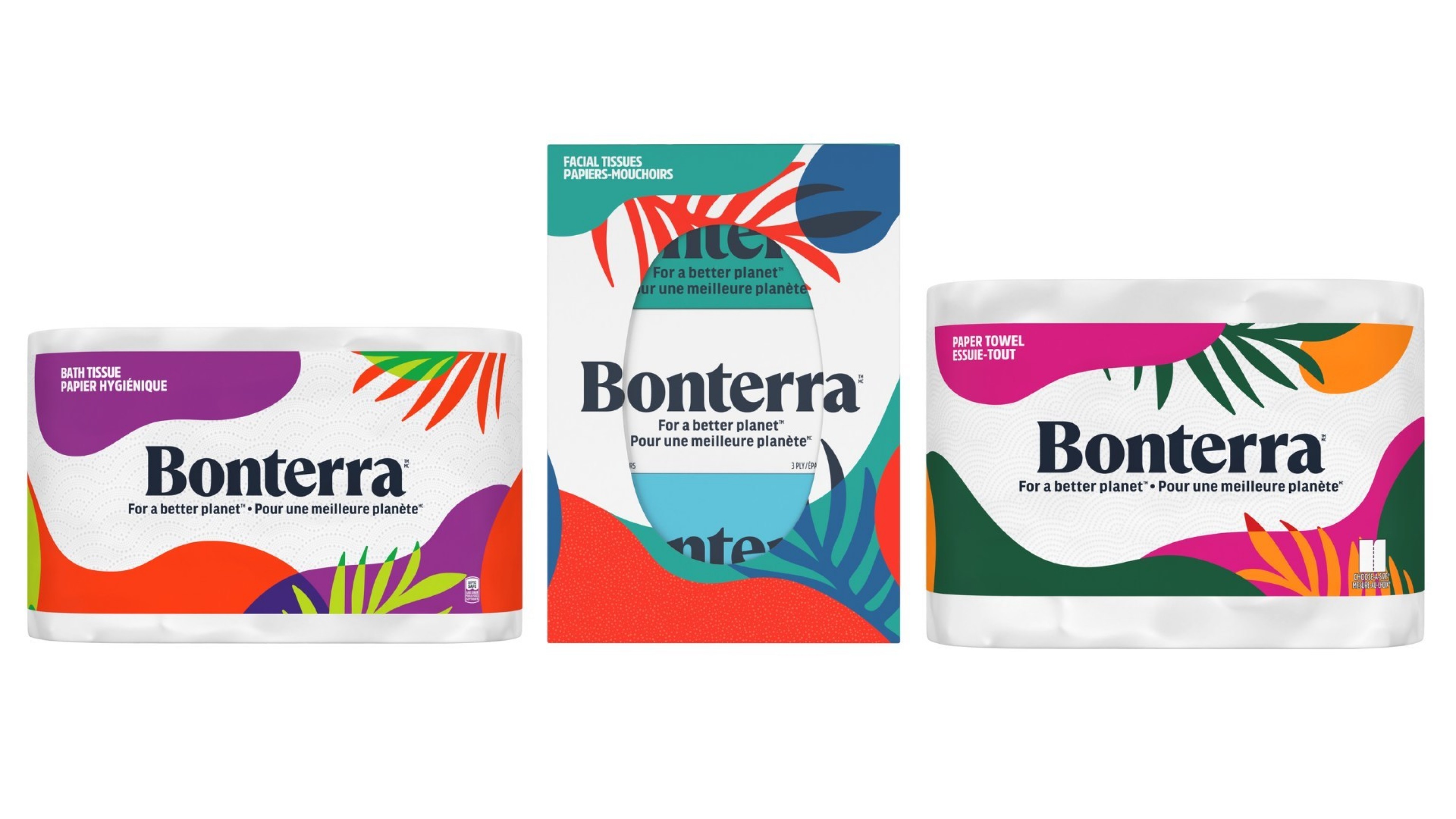A new line of FSC-certified tissue products launches | Forest ...