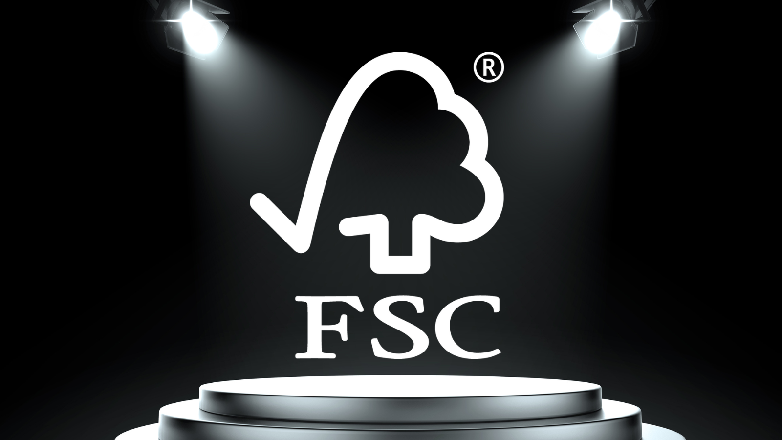 FSC Certificate Holder Spotlight | Forest Stewardship Council
