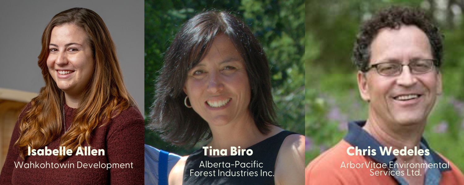 Standard Development Group (SDG) Update | Forest Stewardship Council