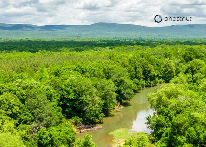 Chestnut Carbon's Restoration Project Becomes First U.S.-based Project ...