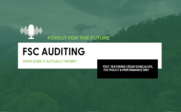 Podcast: Demystifying FSC Chain of Custody audits | Forest Stewardship ...
