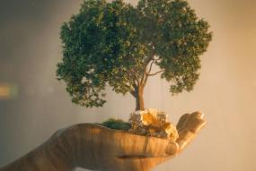 Find FSC Products & Suppliers | Forest Stewardship Council