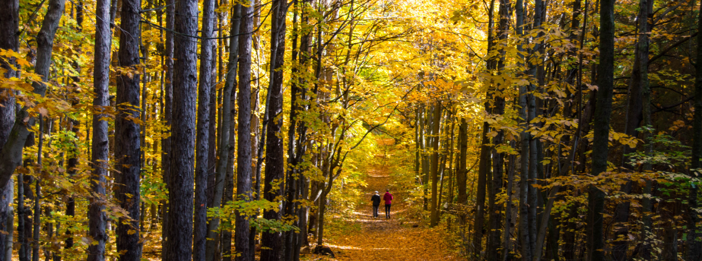 Homepage Canada | Forest Stewardship Council